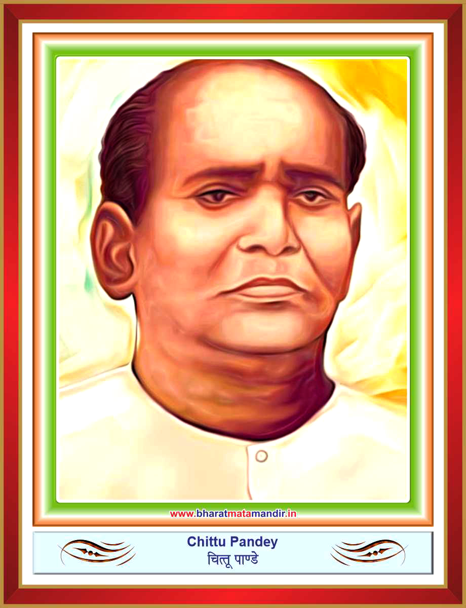 Chittu Pandey | Bharat Mata Mandir | Museum Of Freedom Fighters